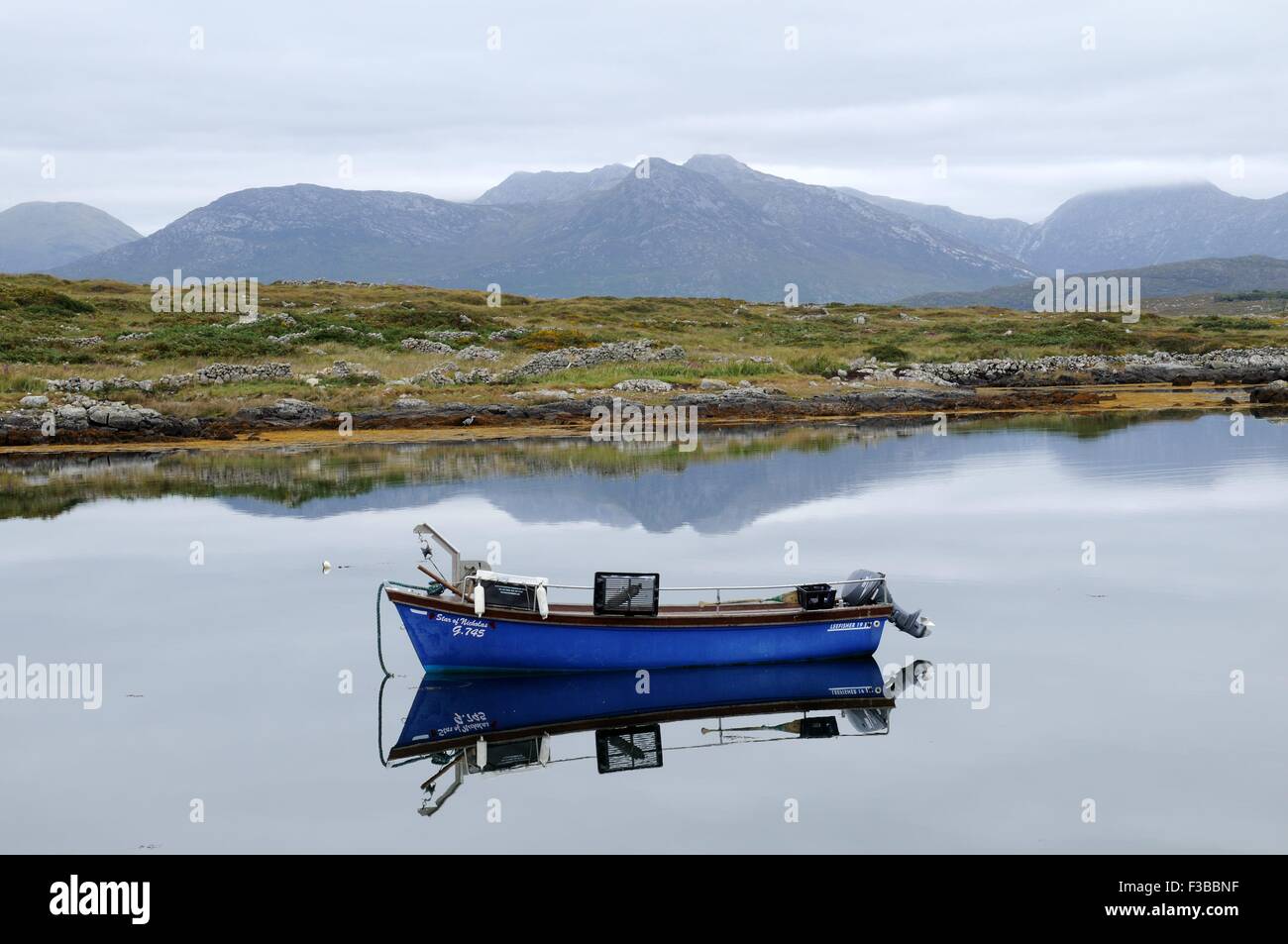 F3bbnf High Resolution Stock Photography And Images Alamy f3bbnf-high-resolution-stock-photography-and-images-alamy