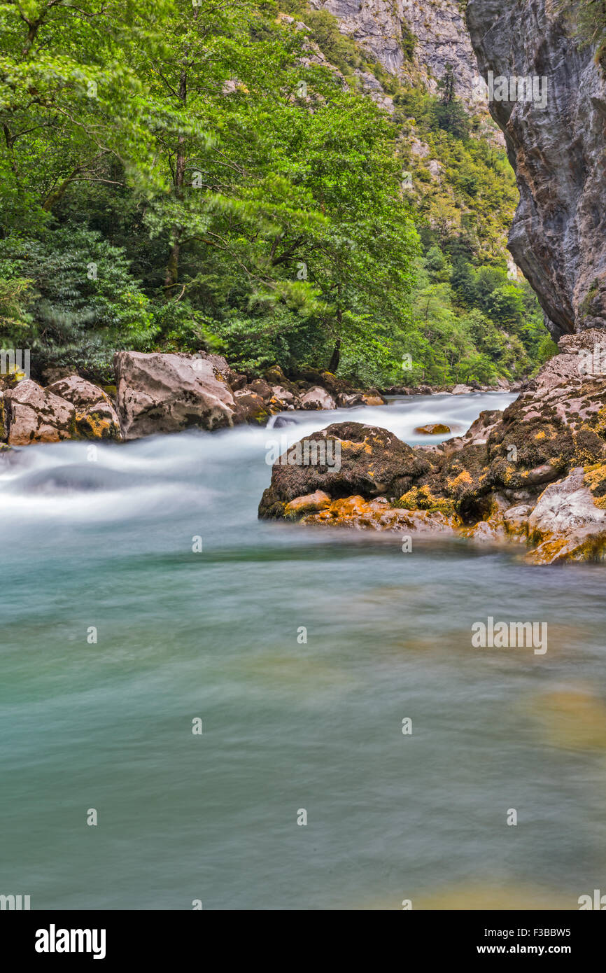 Mountain river flowing by the gorge with rocks and trees Stock Photo ...