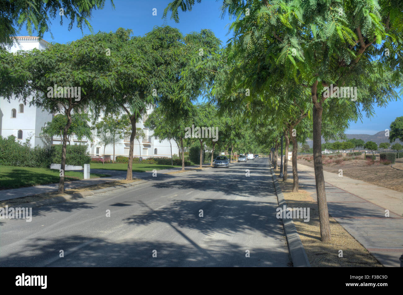 HDR of Tree lined shady road around the Hacienda Riquelme Golf Resort ...