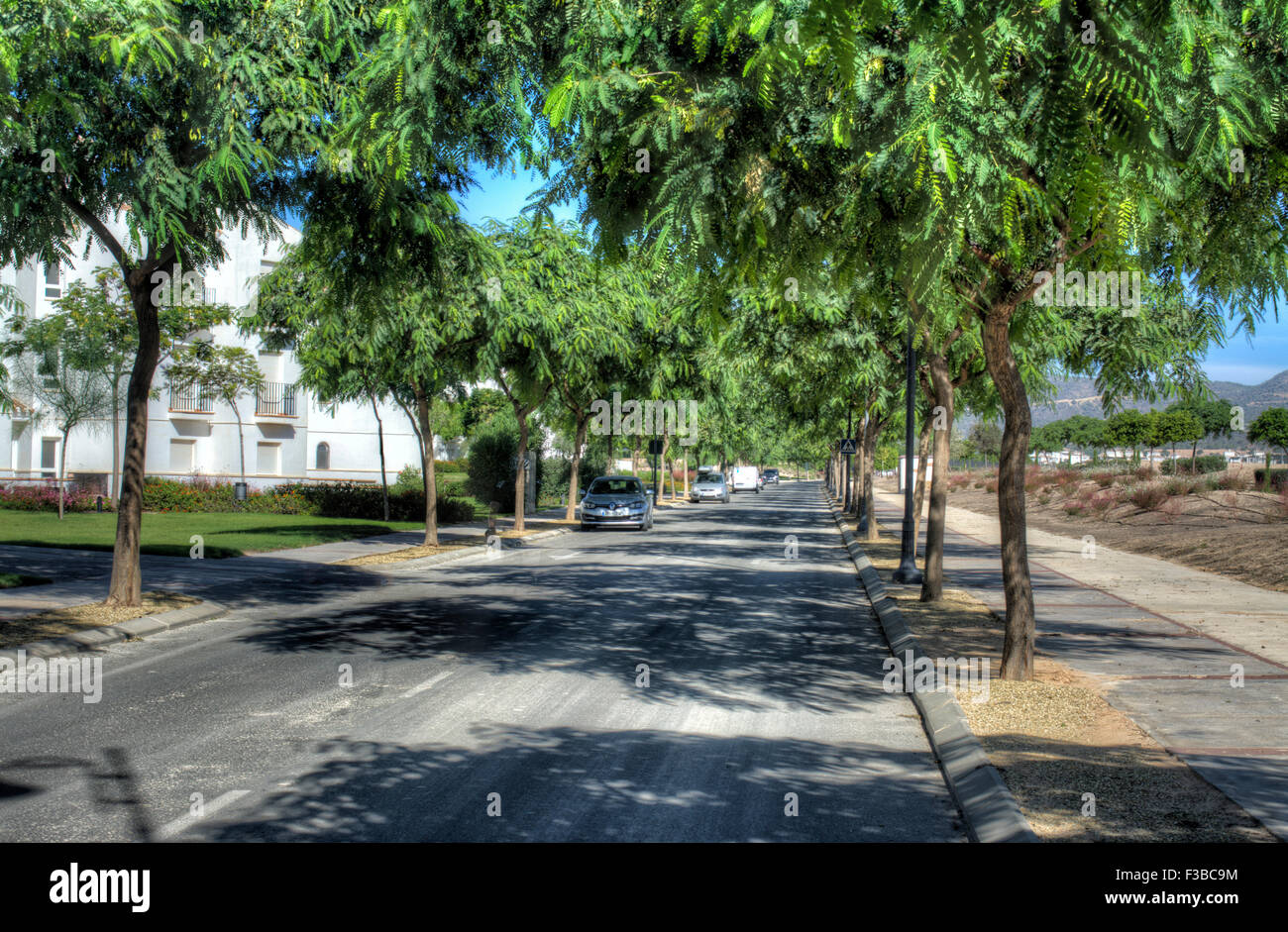 HDR of Tree lined shady road around the Hacienda Riquelme Golf Resort ...