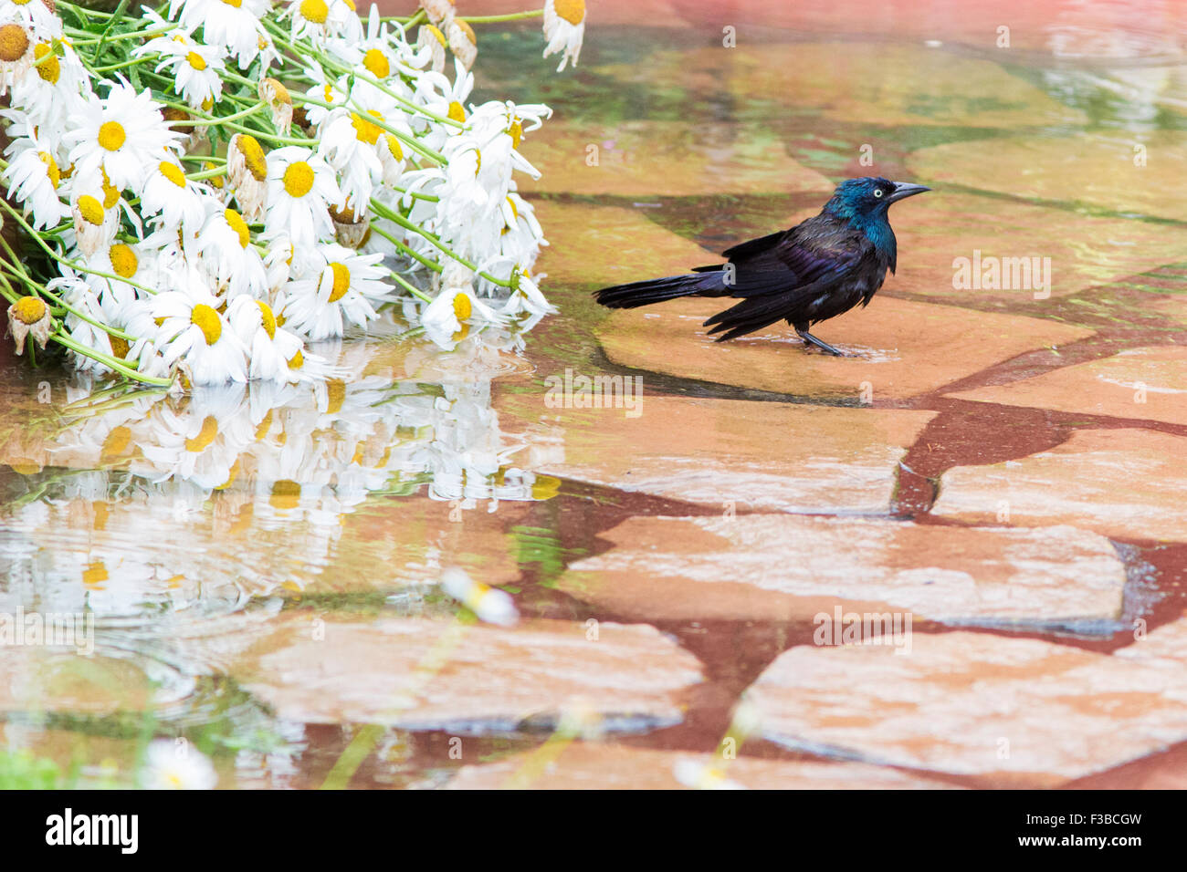 Hjhgg hi-res stock photography and images - Alamy