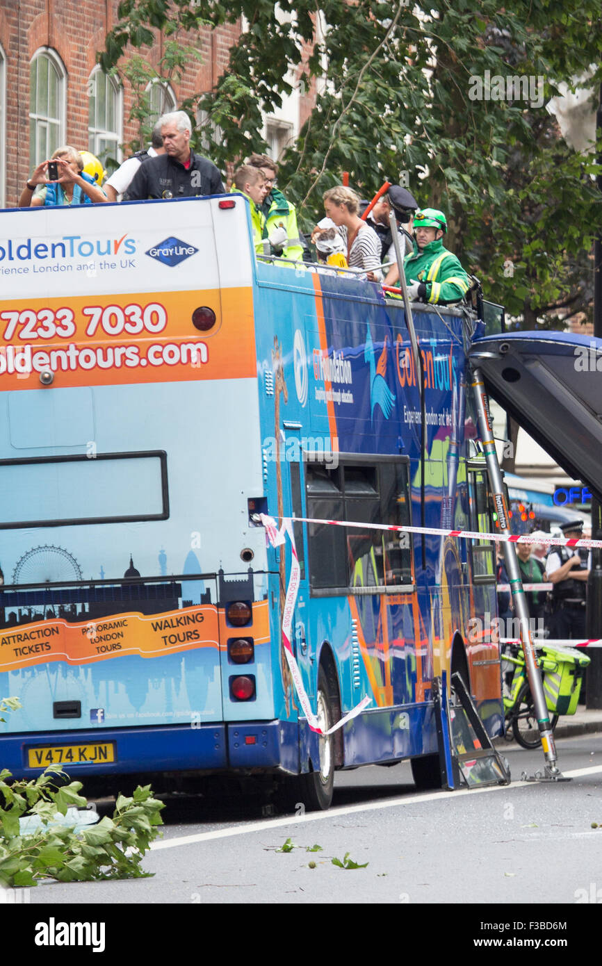 A london tour bus has had its roof ripped off by a tree at Woburn Place ...
