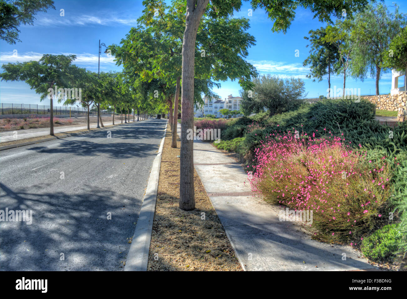 HDR of Tree lined shady road around the Hacienda Riquelme Golf Resort ...