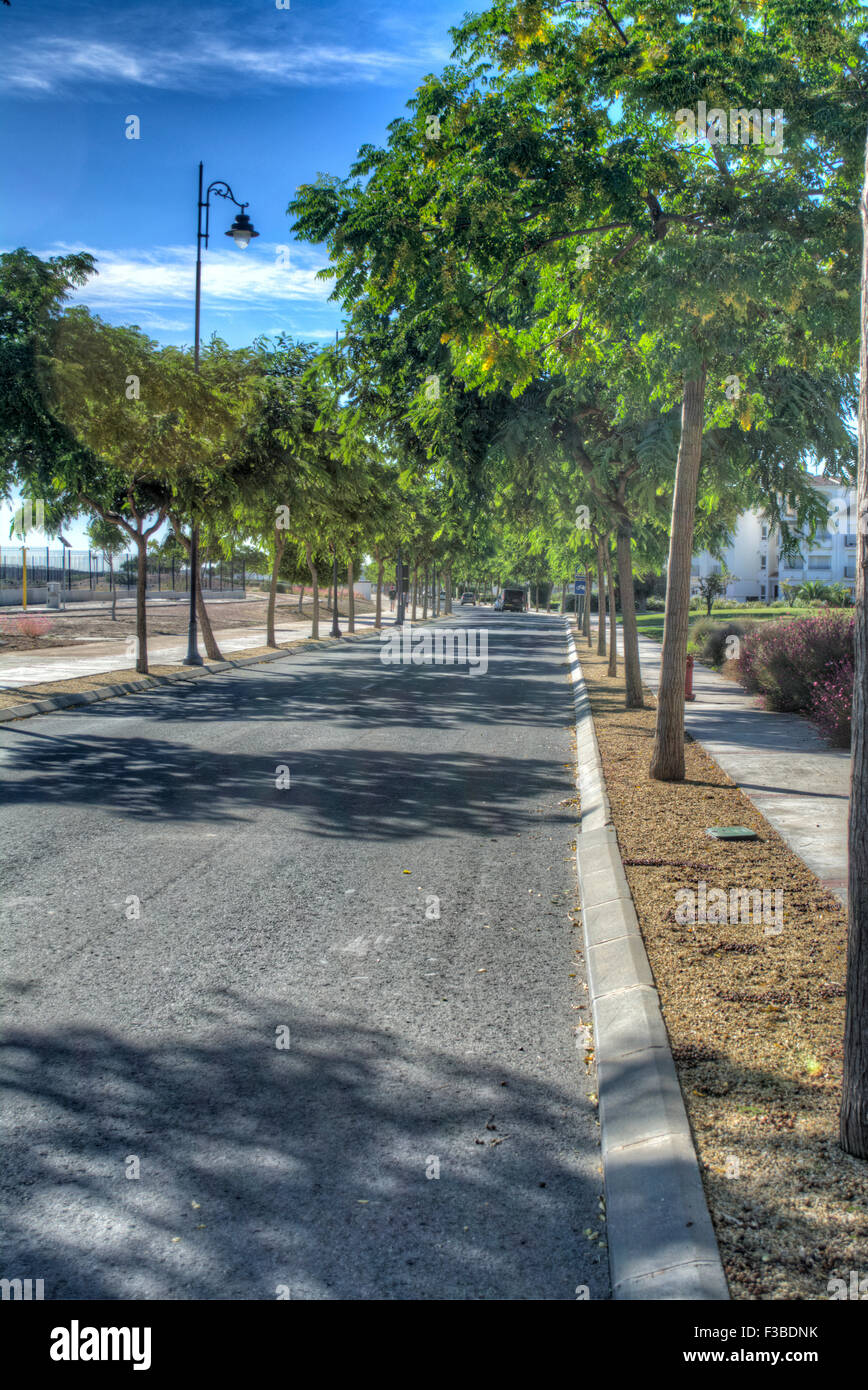 HDR of Tree lined shady road around the Hacienda Riquelme Golf Resort ...