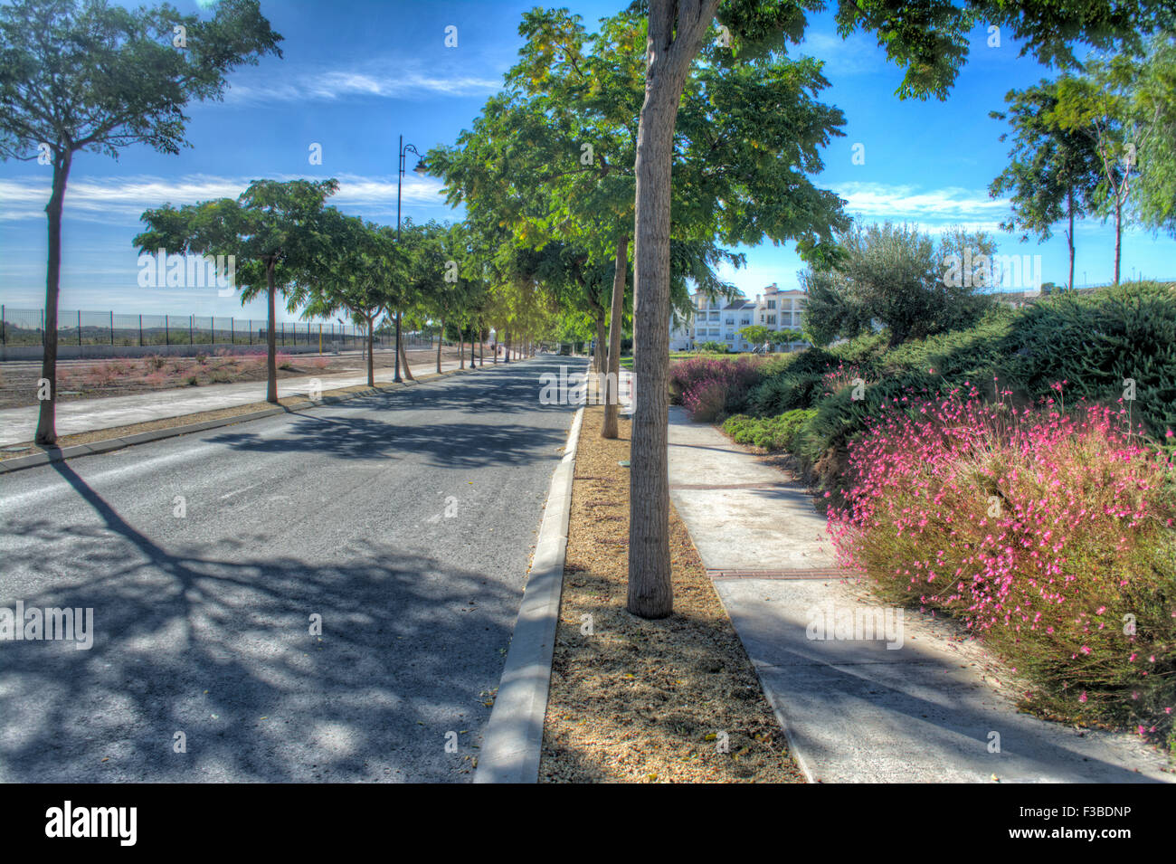 HDR of Tree lined shady road around the Hacienda Riquelme Golf Resort ...