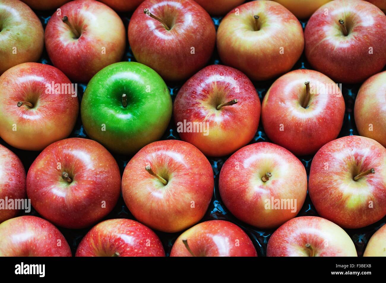 Odd one out people hi-res stock photography and images - Alamy