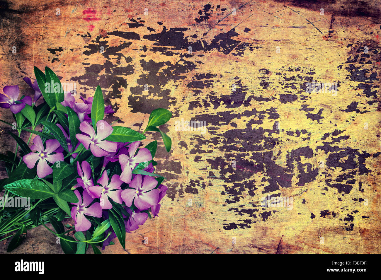 Grunge background with periwinkle Stock Photo - Alamy