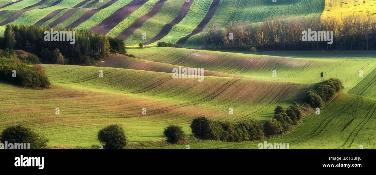 Rural landscape with waves, fields and wooden hunting shack, South ...
