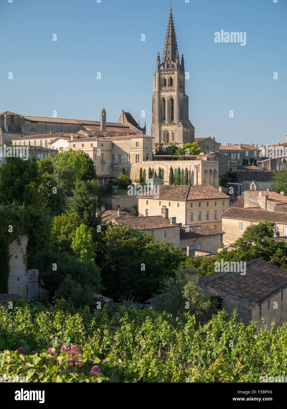 Saint Emilion general view with vineyard Stock Photo - Alamy
