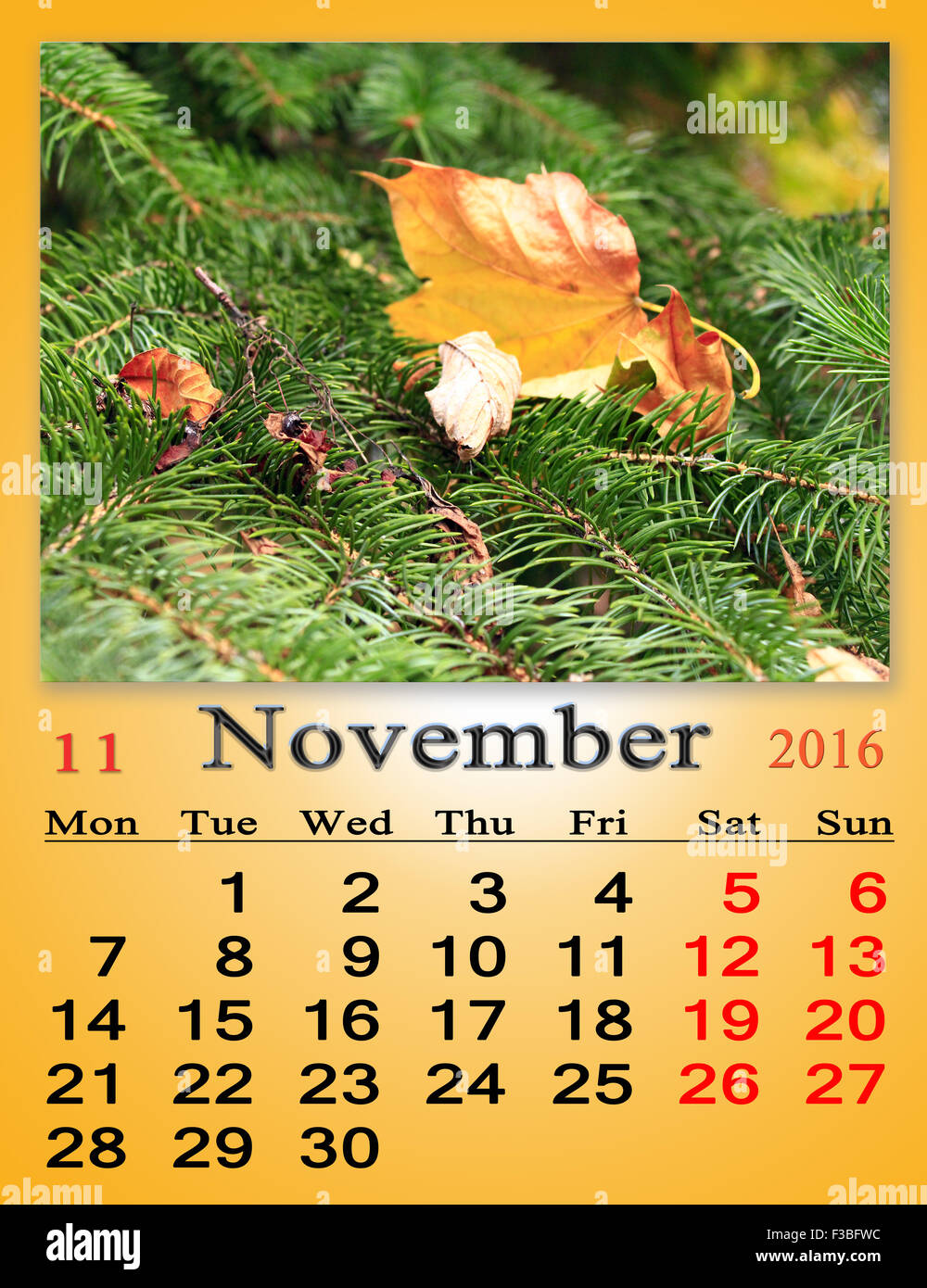 calendar for November 2016 with yellow dry leaf on the evergreen spruce ...