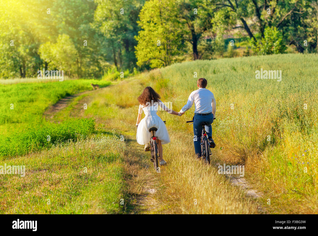 Young happy bride and groom ride bicycles in the meadow back to camera ...