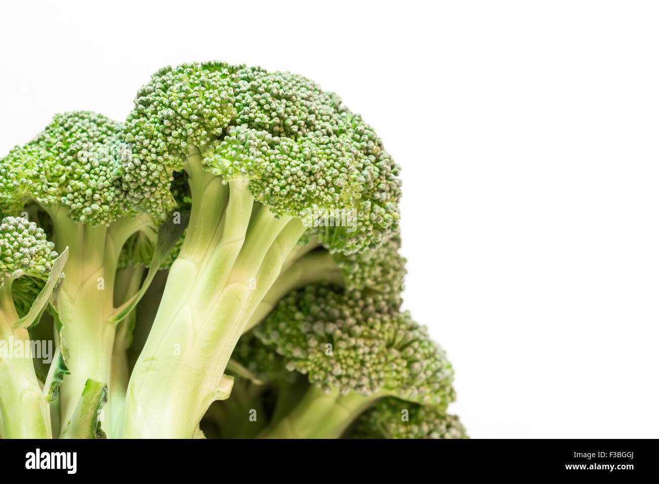 Broccoli isolated on white background Stock Photo - Alamy