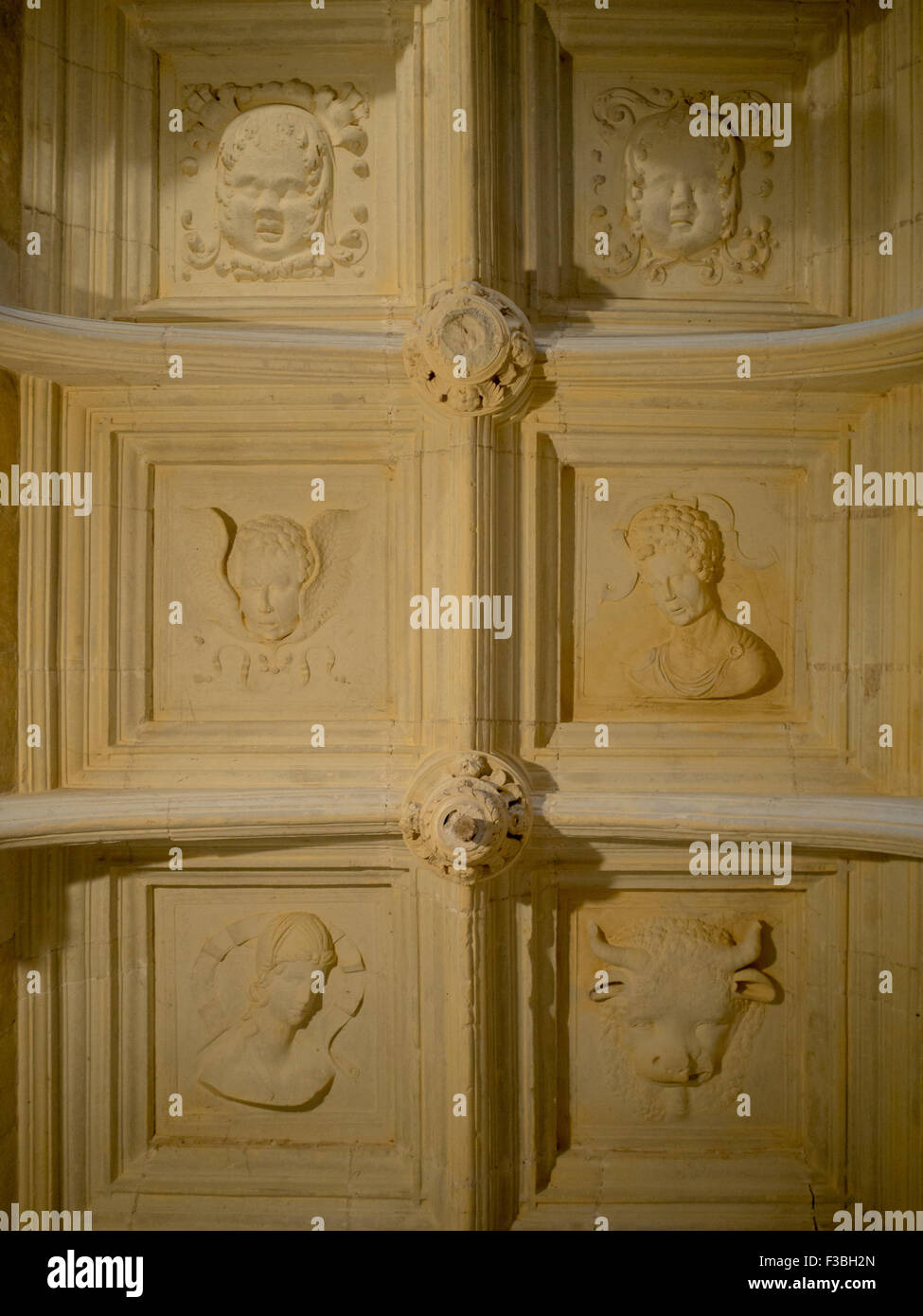 Bass-relief on the ceiling of Chateau of Azay-le-Rideau Stock Photo - Alamy
