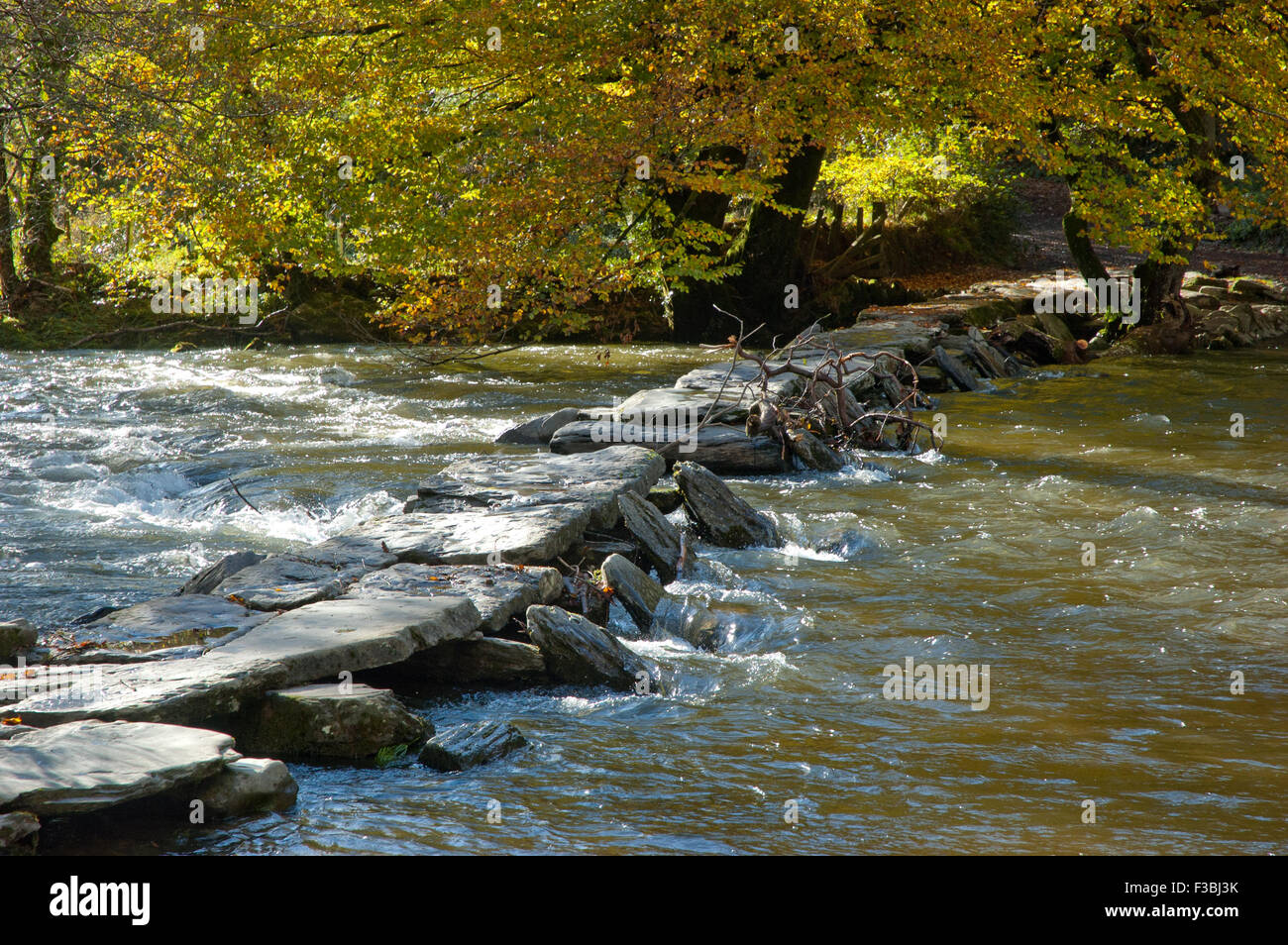The Tarr Steps Clapper Bridge, Exmoor National Park, United Kingdom ...