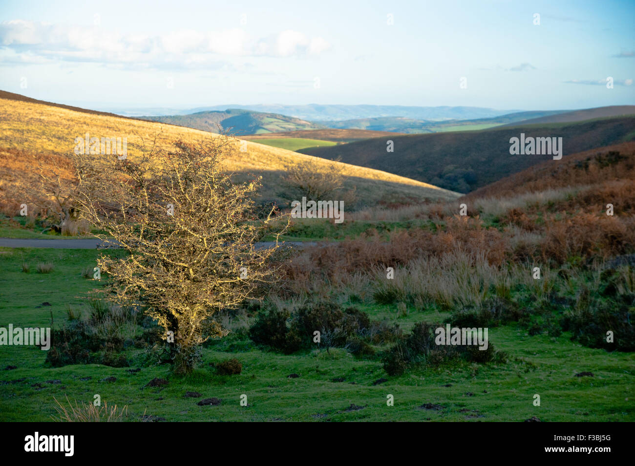 Moorland Scenery, Exmoor National Park, United Kingdom Stock Photo - Alamy