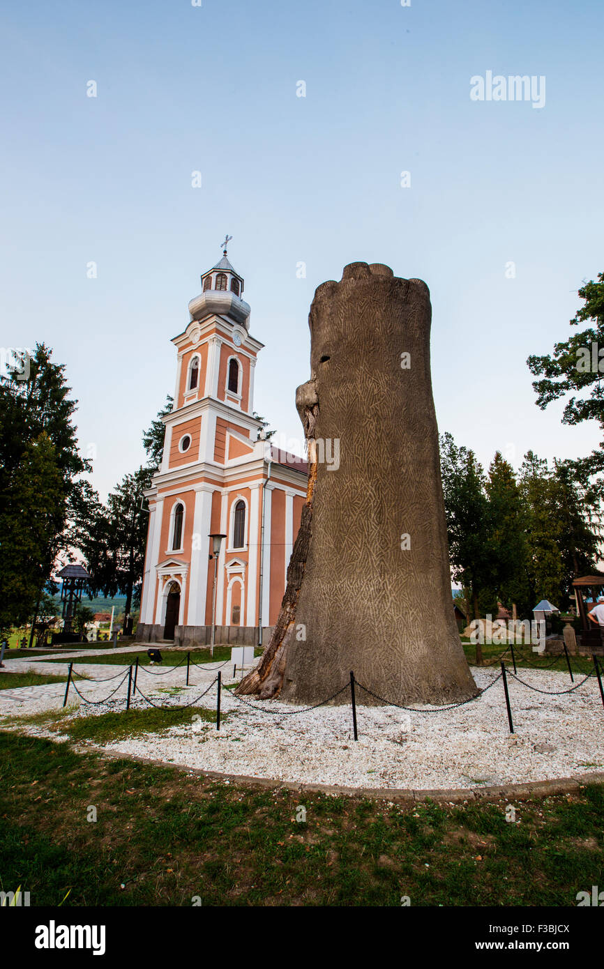 National hero of romania hi-res stock photography and images - Alamy