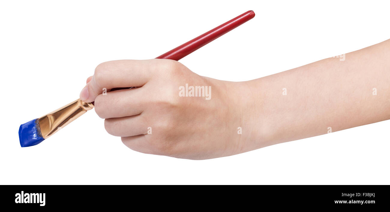 hand holds artistic flat paintbrush with blue painted tip isolated on ...