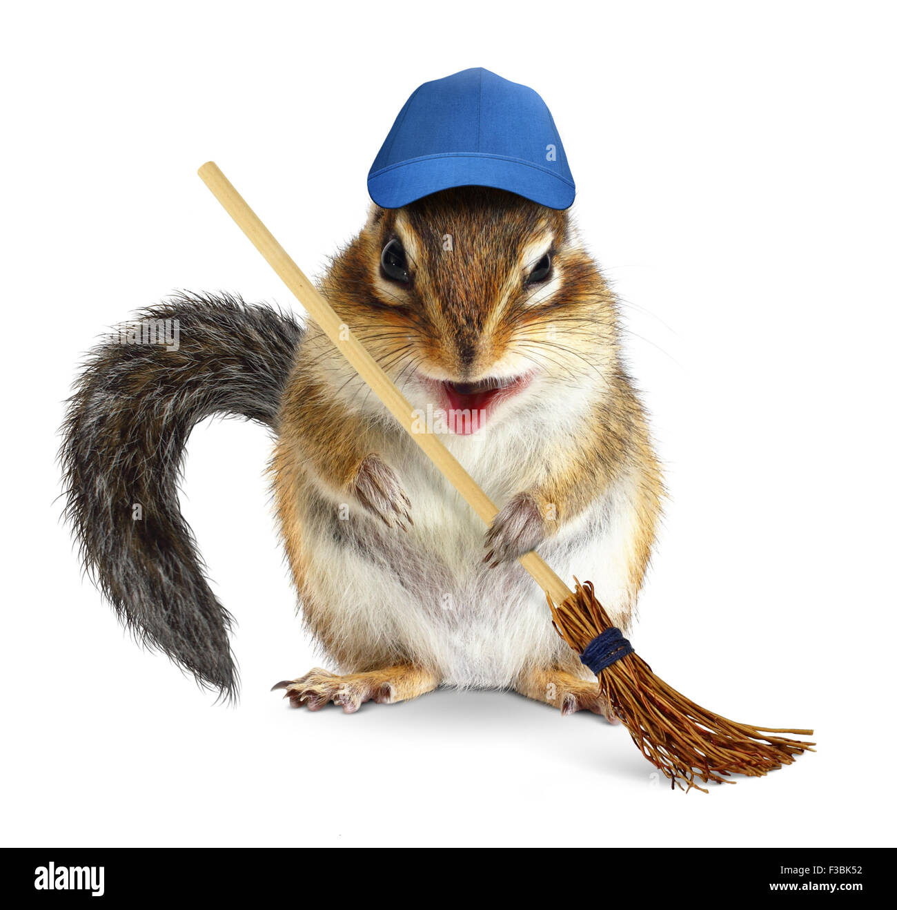 Pet on the street Cut Out Stock Images & Pictures - Alamy