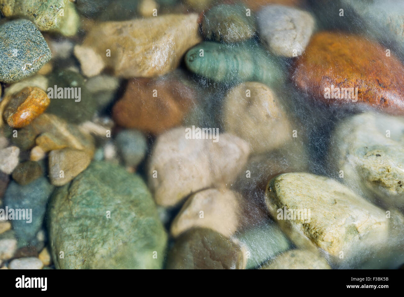 Pebble stones in the river water close up view, natural background ...