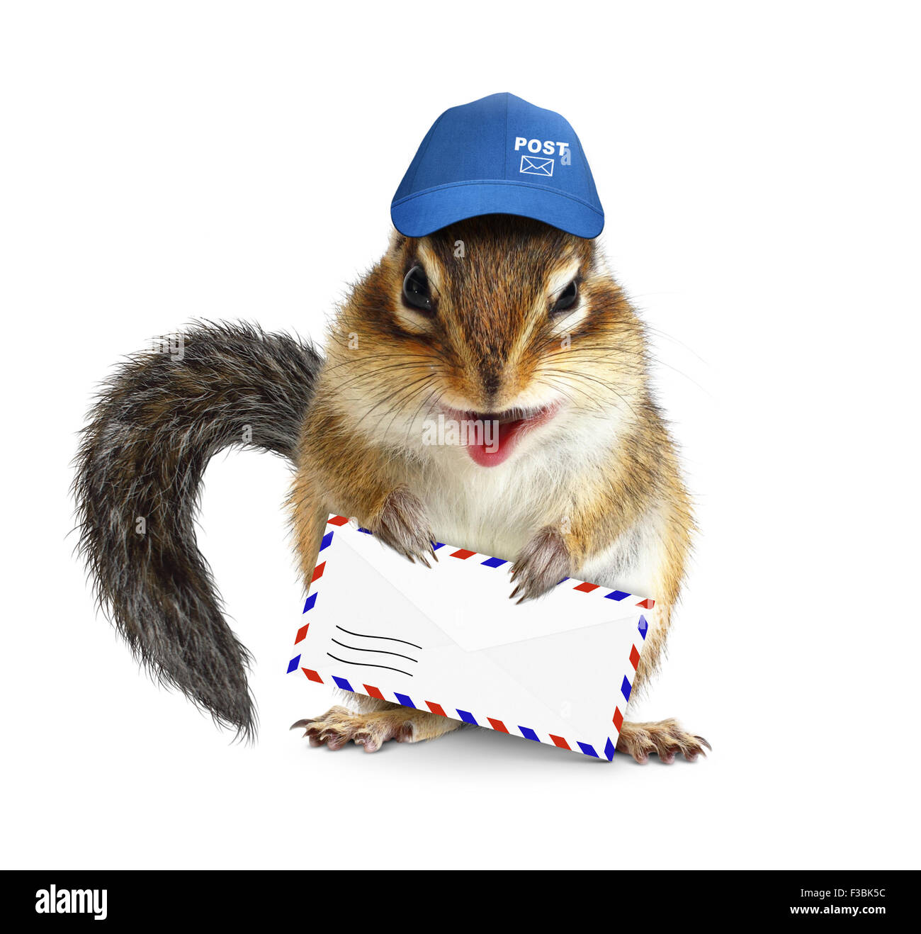 Funny postman chipmunk with air mail letter on white Stock Photo - Alamy