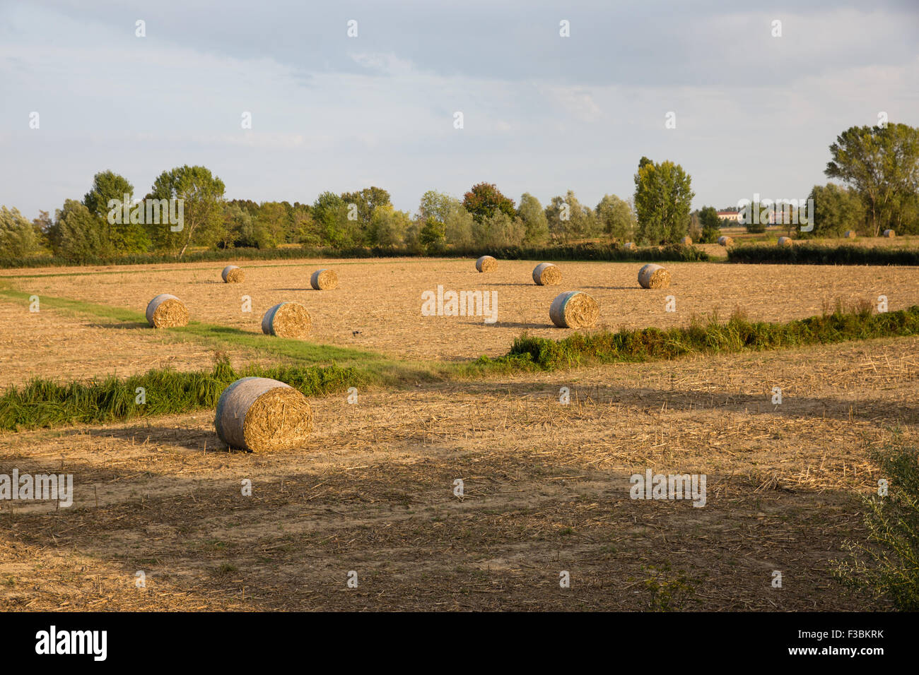 Countryside landscape with bale and trees Stock Photo - Alamy