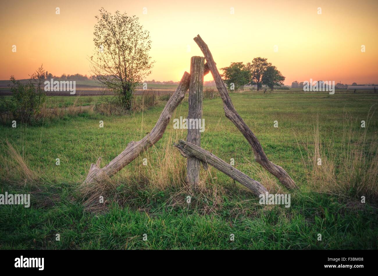 Landscape and wood structure hi-res stock photography and images - Alamy