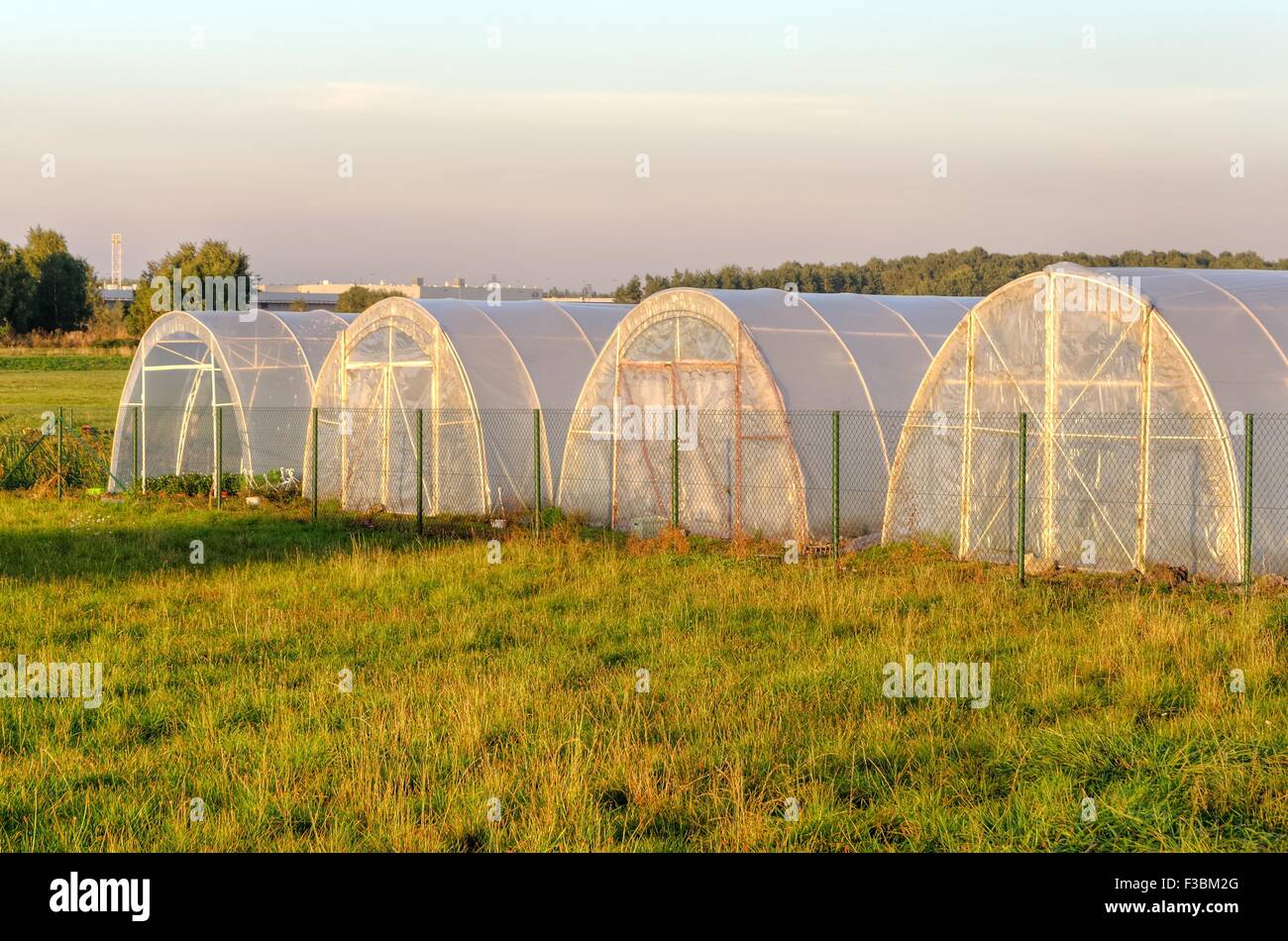 Plastic garden tunnel hi-res stock photography and images - Alamy