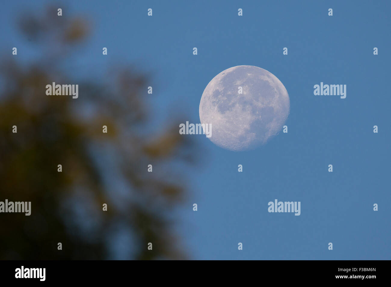 Full Moon on blue sky in Montreal-Canada Stock Photo - Alamy
