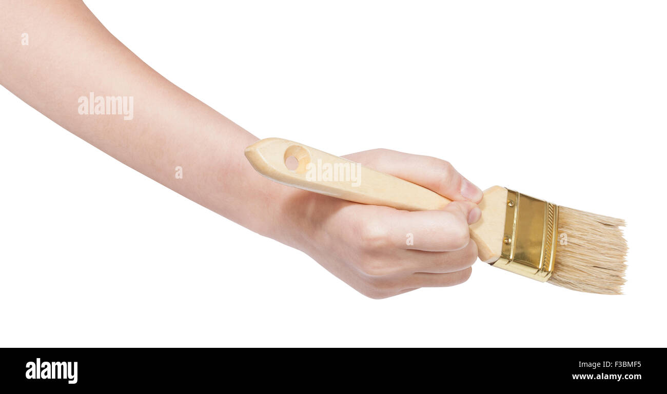 painter hand with clean flat paintbrush isolated on white background ...