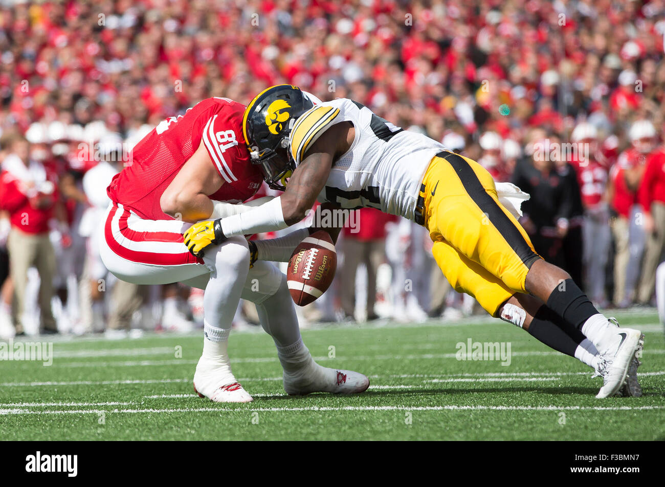 Jordan lomax hi-res stock photography and images - Alamy