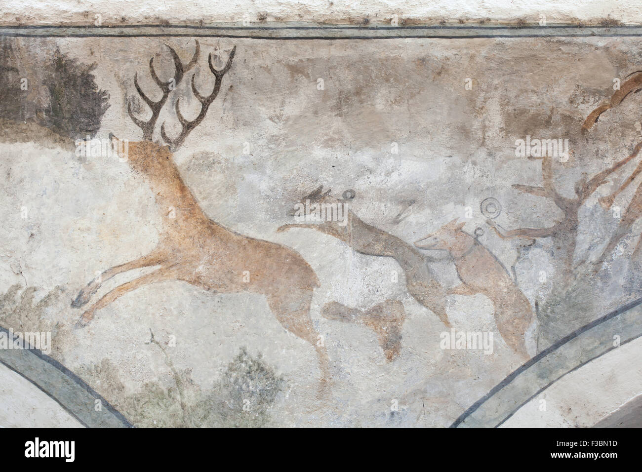 Medieval hunting dog hi-res stock photography and images - Alamy