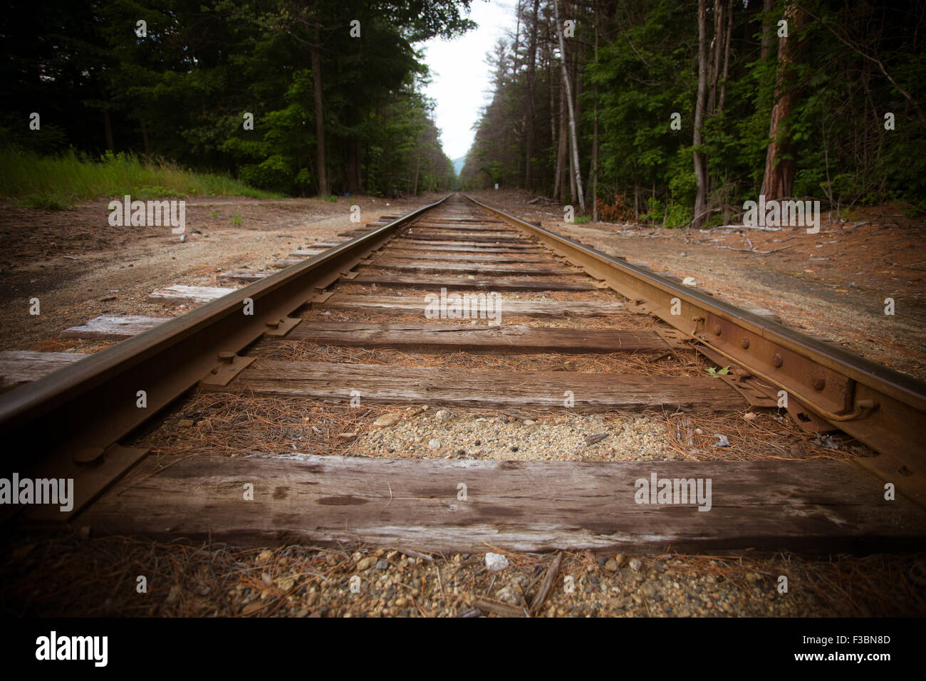 Old wooden railroad tracks running through countryside Stock Photo - Alamy