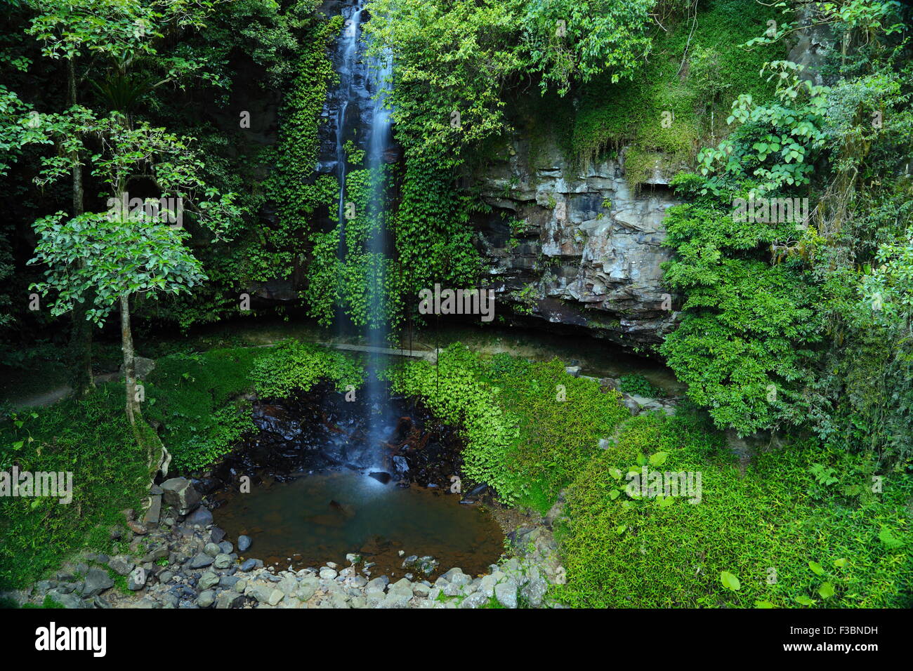 Crystal Shower Falls along the Wonga Walk in Dorrigo National Park ...