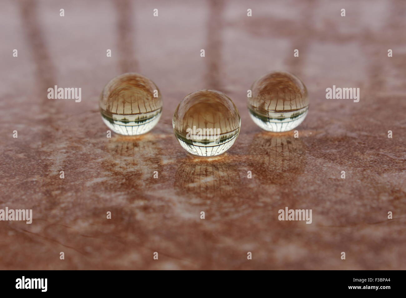 Refraction water glass reverse hi-res stock photography and images - Alamy