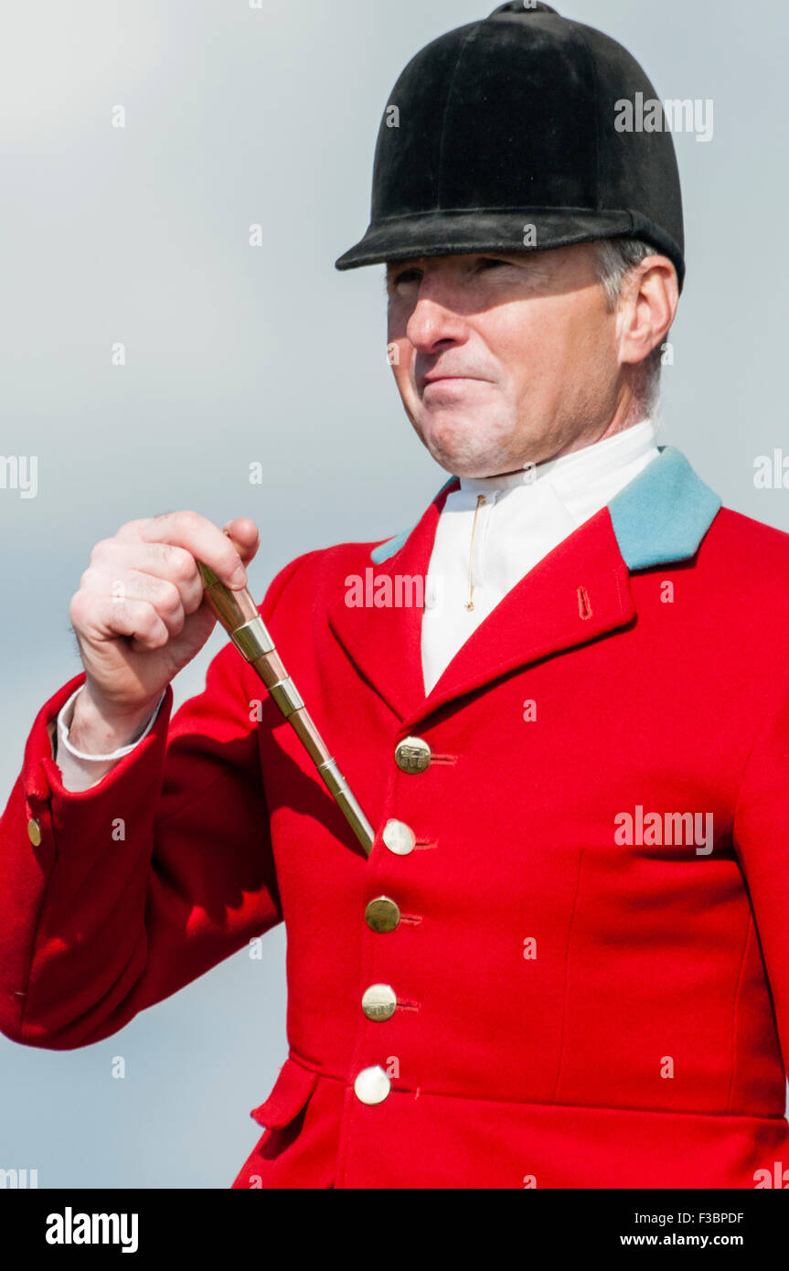 The foxes race horse hi-res stock photography and images - Alamy