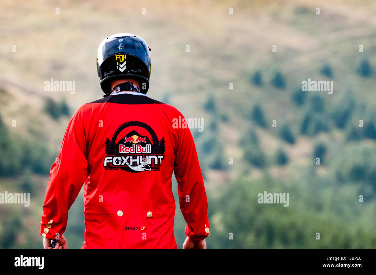 Rostrevor forest park hi-res stock photography and images - Alamy