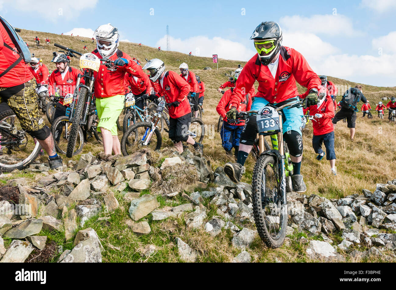 Red bull foxhunt hi-res stock photography and images - Alamy
