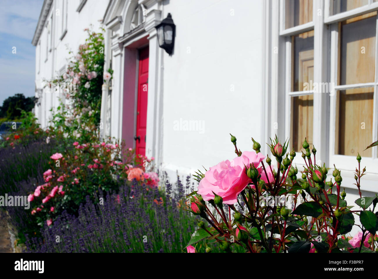 Roses garden england house hi-res stock photography and images - Alamy