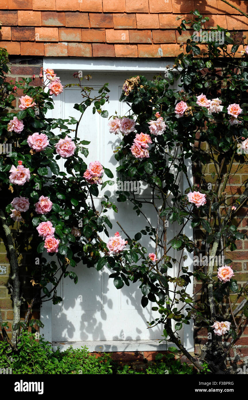 Rose house hi-res stock photography and images - Alamy