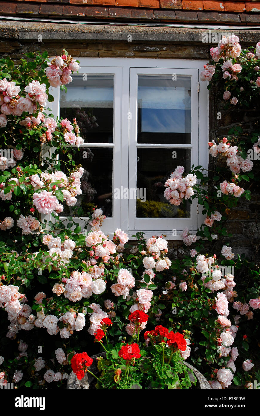Rose house hi-res stock photography and images - Alamy
