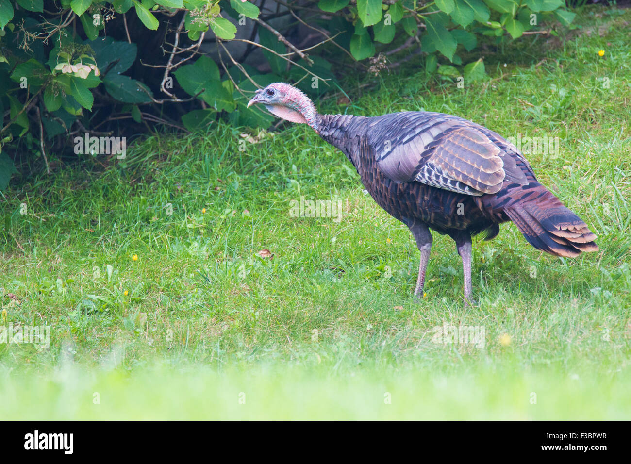 Hjhgg hi-res stock photography and images - Alamy