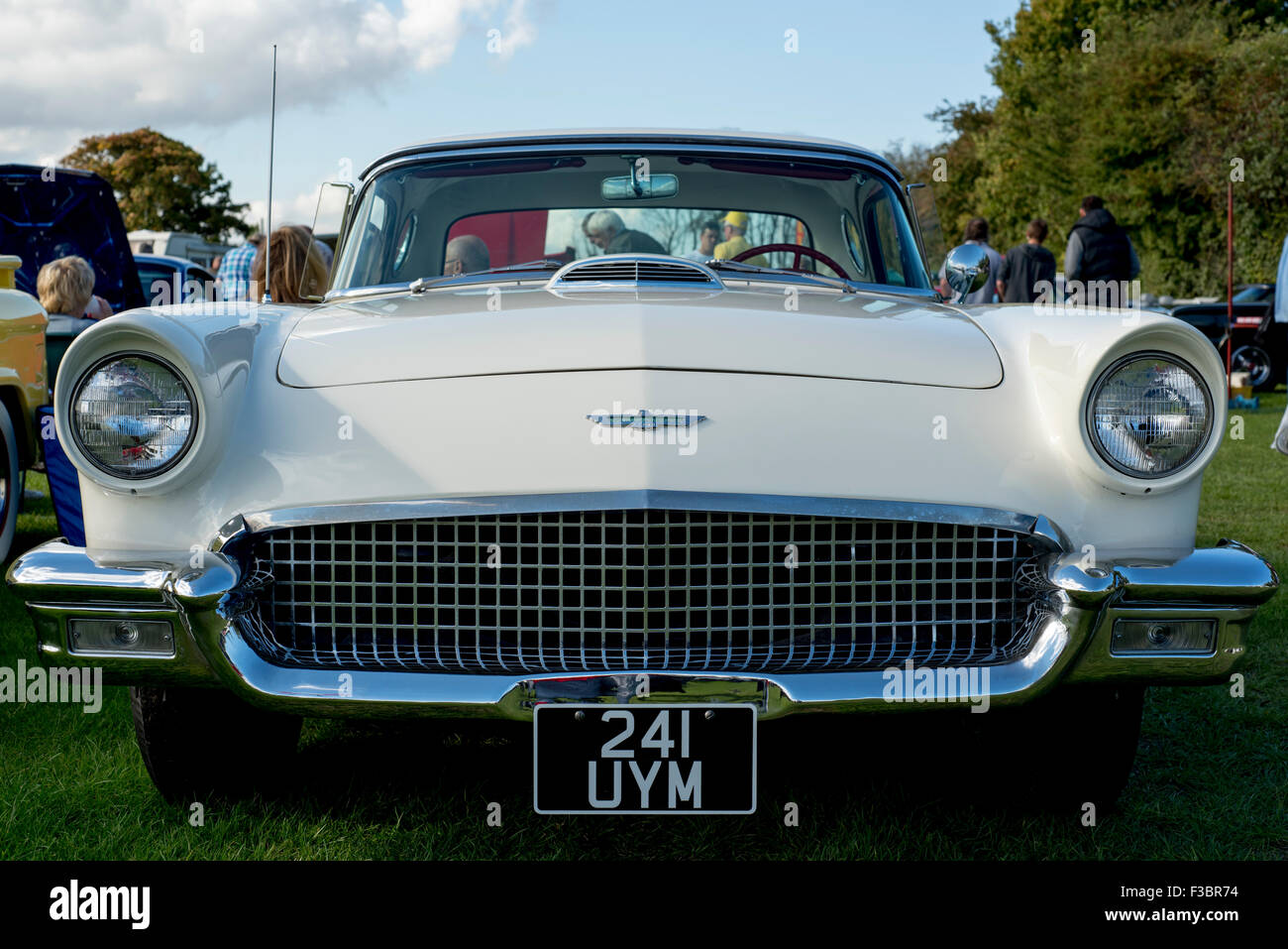 Vintage White Thunderbird Stock Photo - Alamy