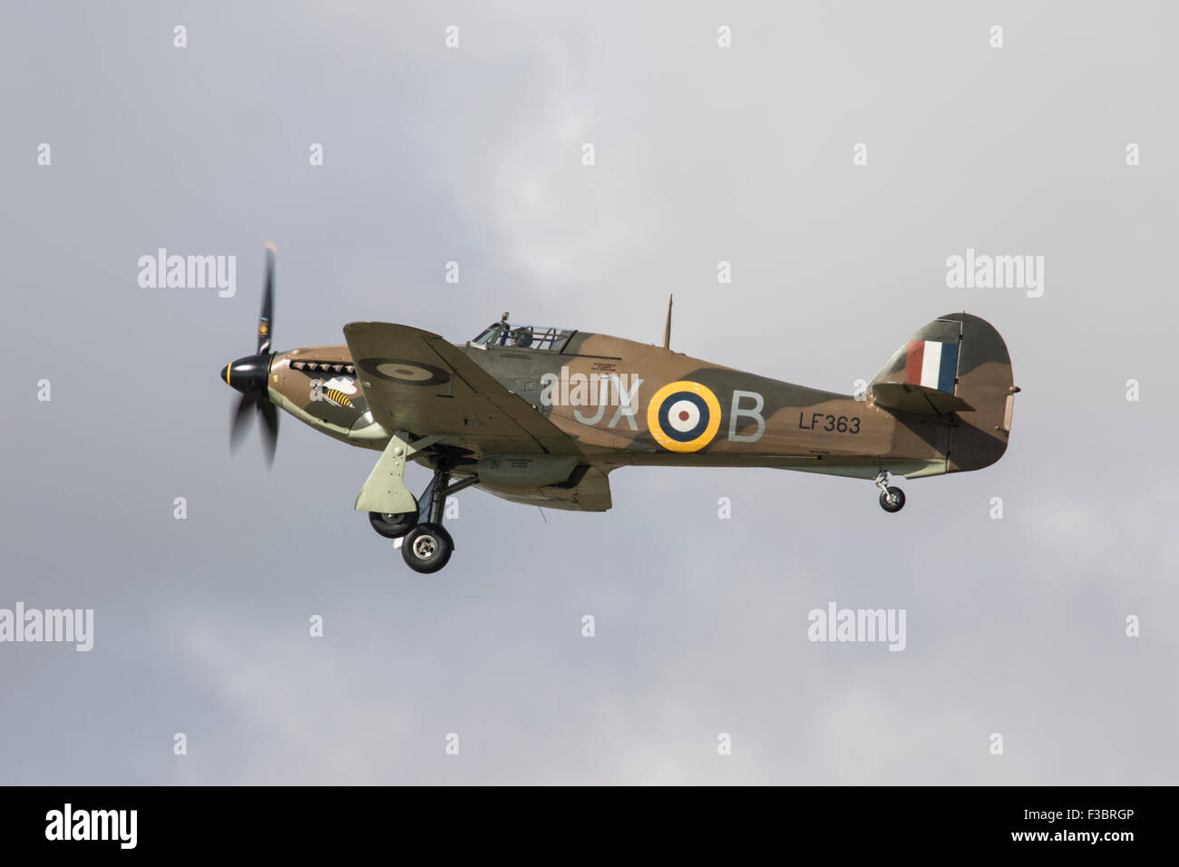 Hawker Hurricane Mk IIc LF363 fighter aircraft flying at the Battle of ...