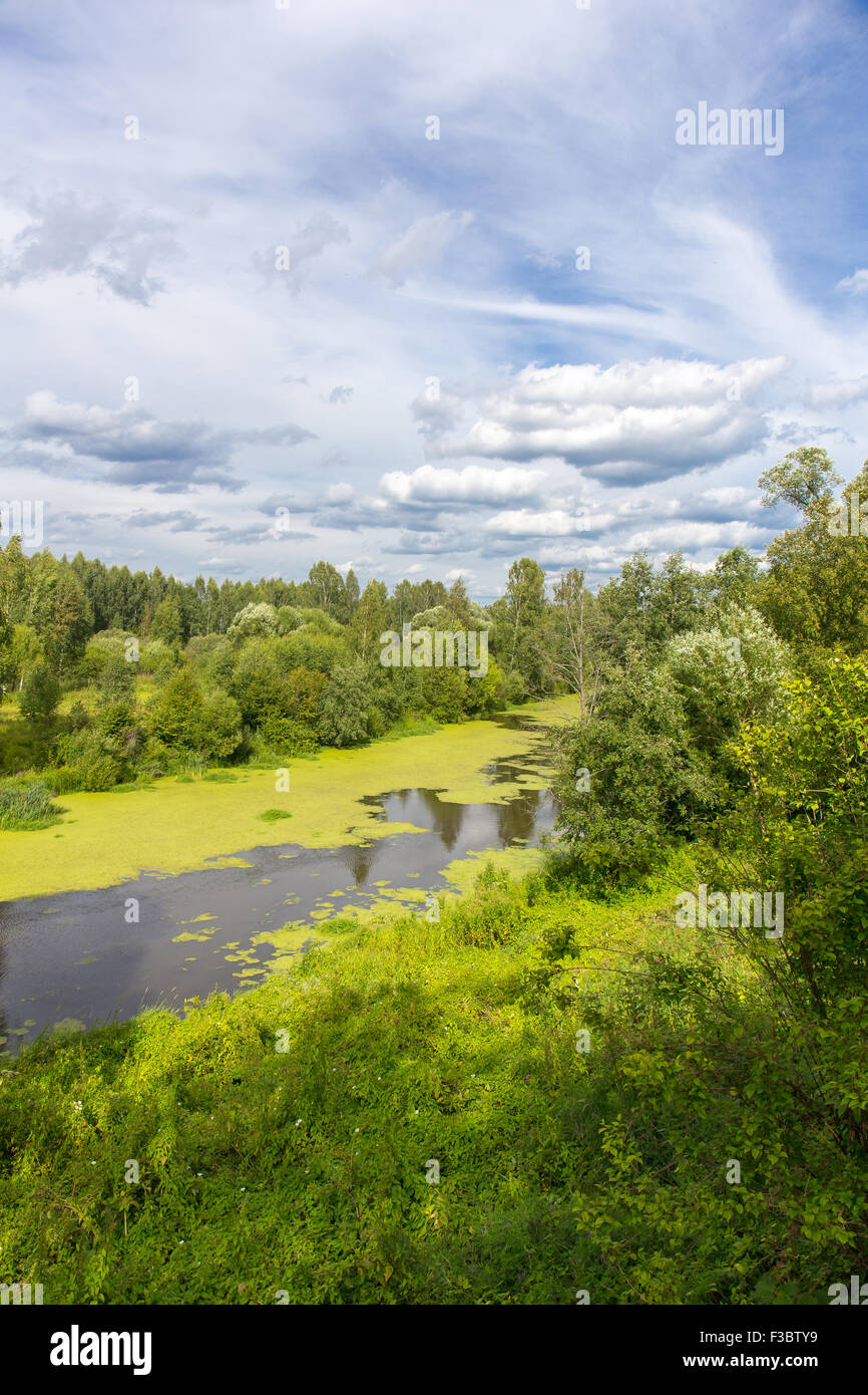 Forest river top view with cloudy sky Stock Photo - Alamy