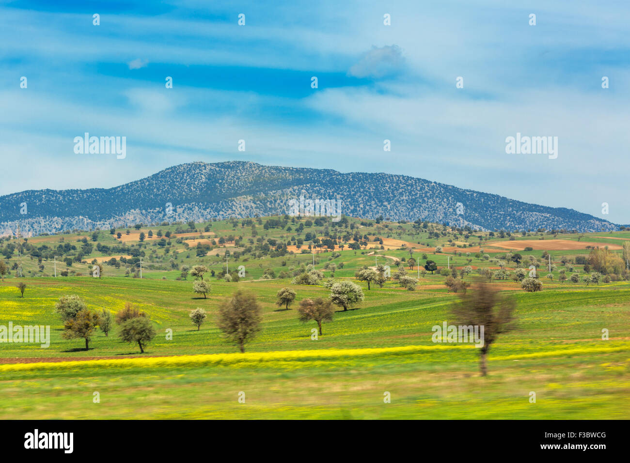 Scenery view of mountain valley with trees and grass fields Stock Photo ...