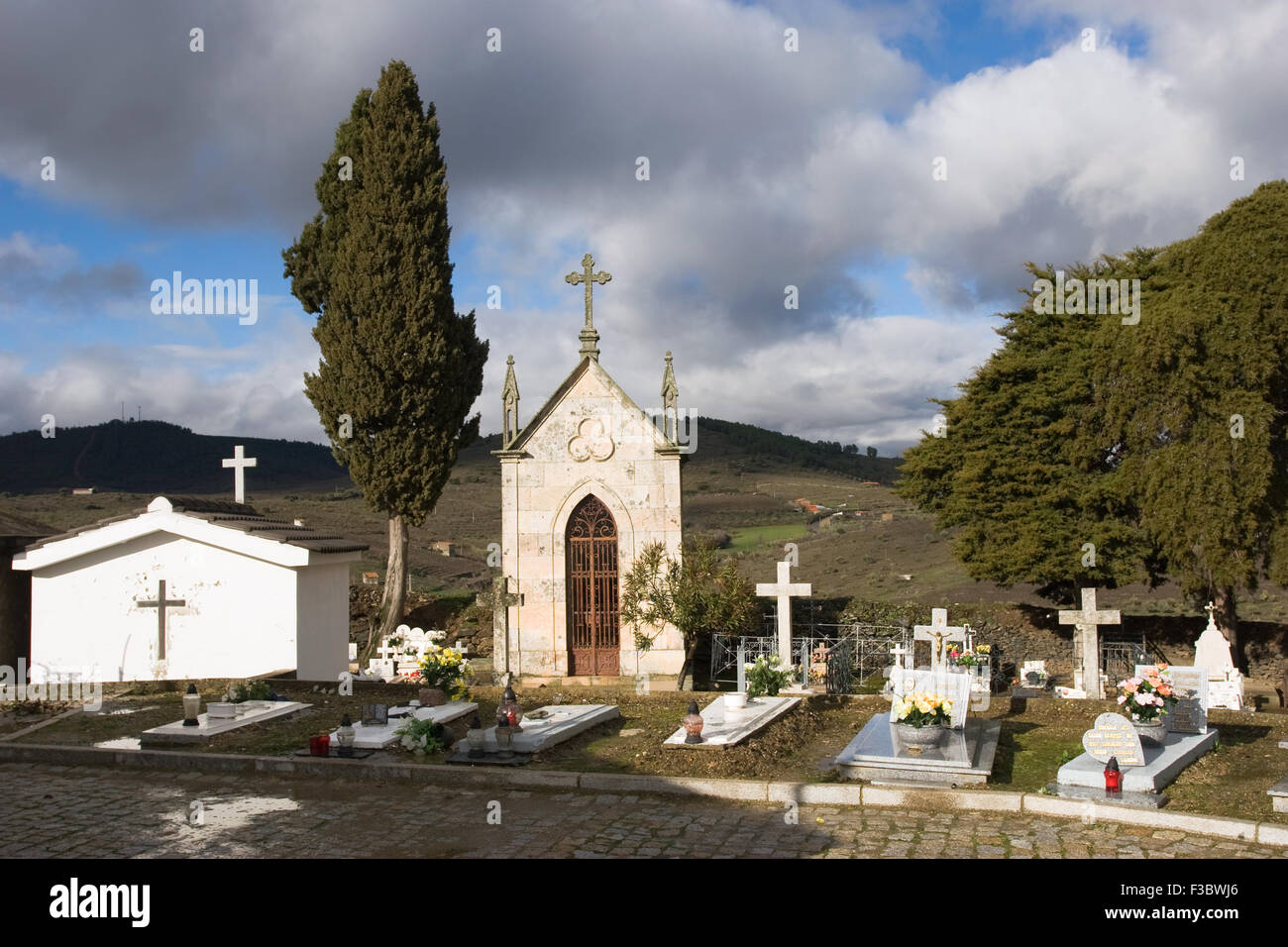 Cypress cemetery hi-res stock photography and images - Alamy