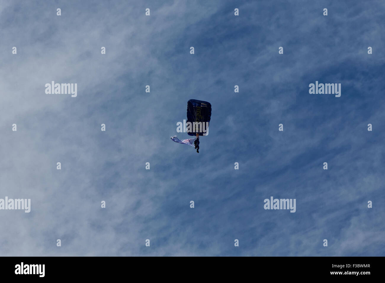 Tigers freefall team Stock Photo - Alamy
