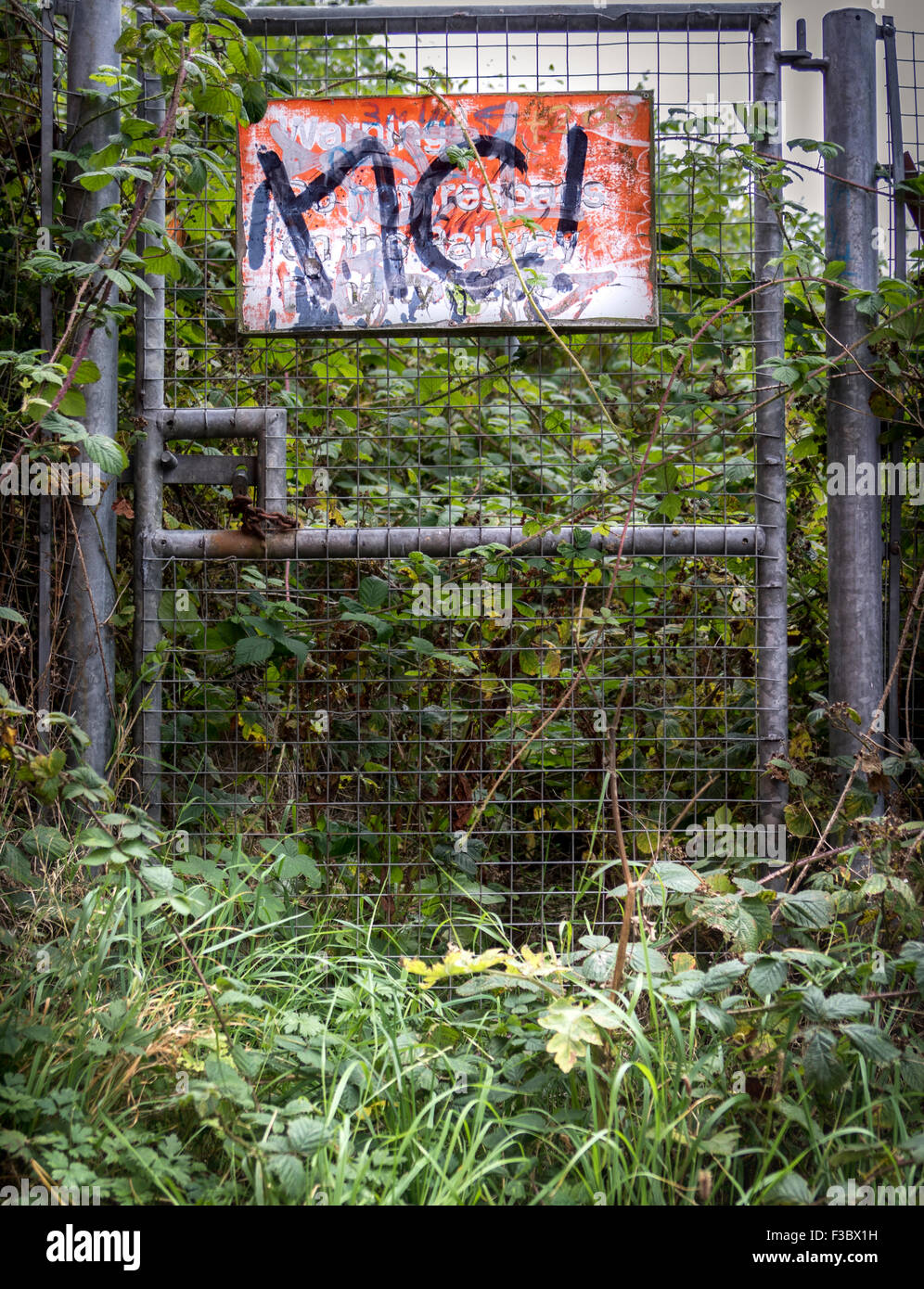 Old gate leading onto train tracks, covered in green plants and weeds ...