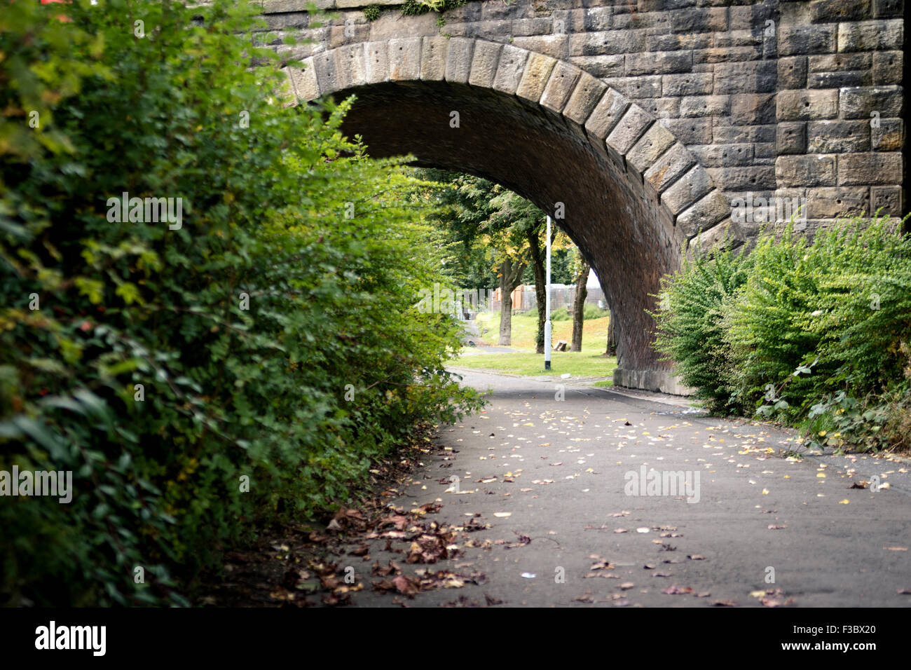Trees making a path into a wavy tunnel Stock Photo - Alamy