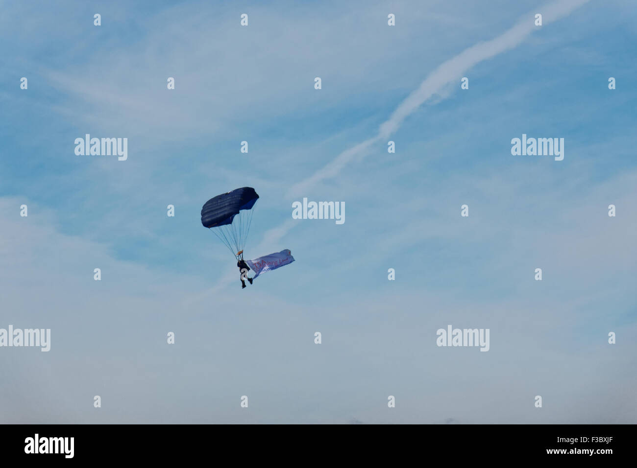 Tigers freefall team Stock Photo - Alamy